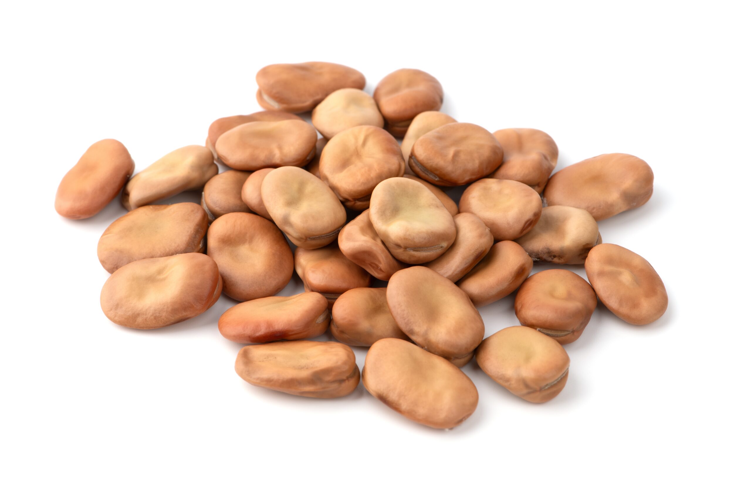 Horse beans - RGG Grain GmbH