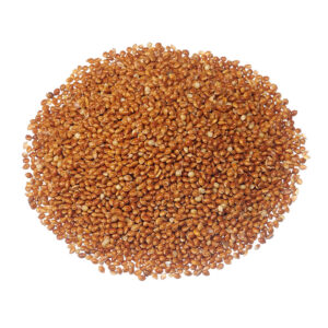 Red millet - RGG Grain GmbH