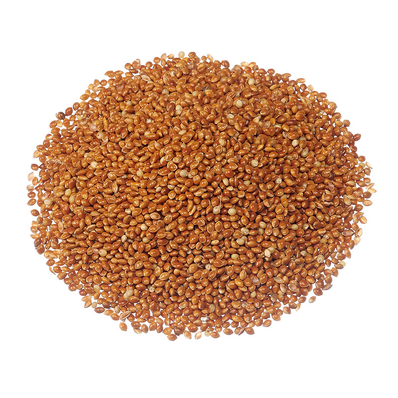 Red millet - RGG Grain GmbH