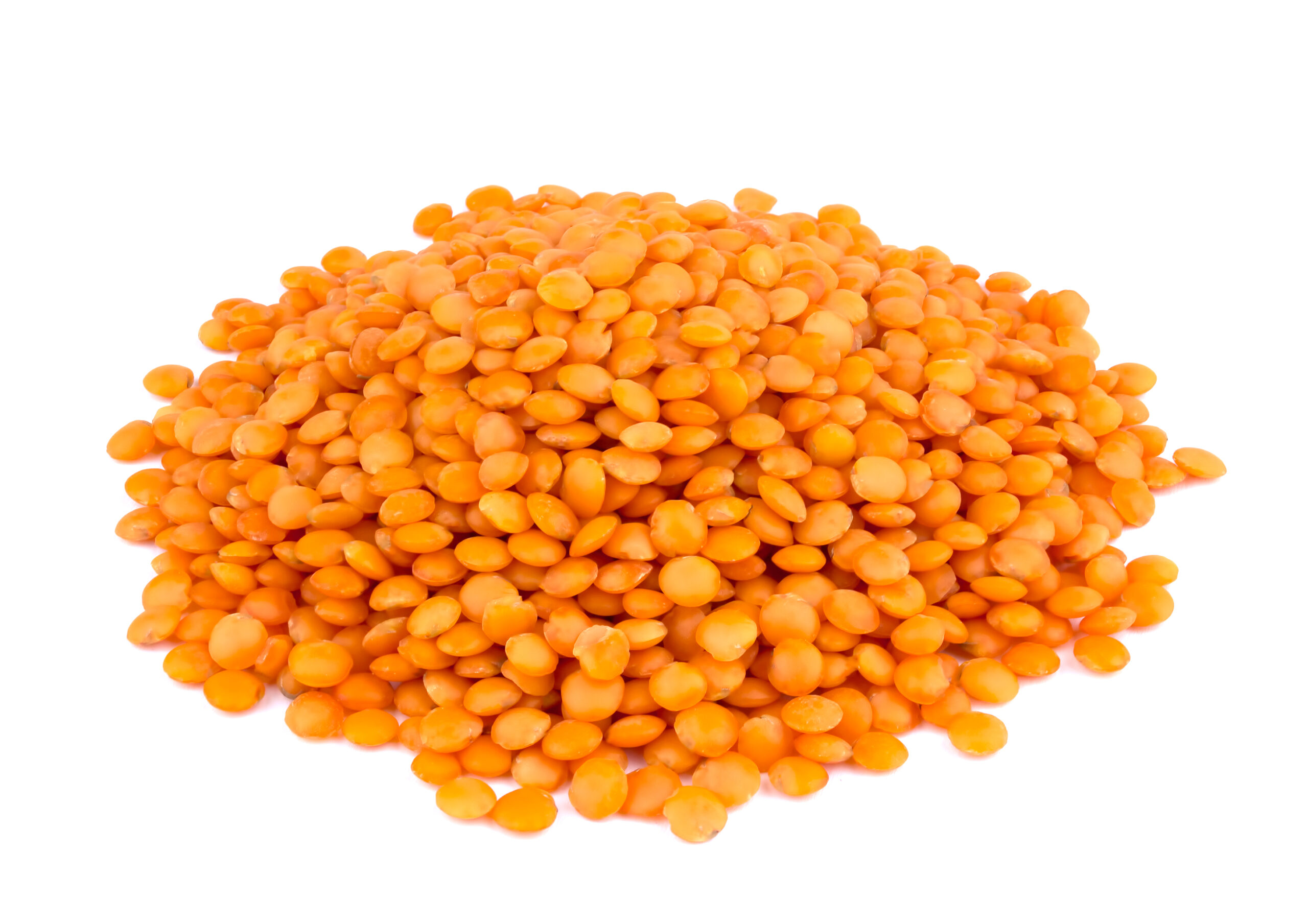Red lentils - RGG Grain GmbH