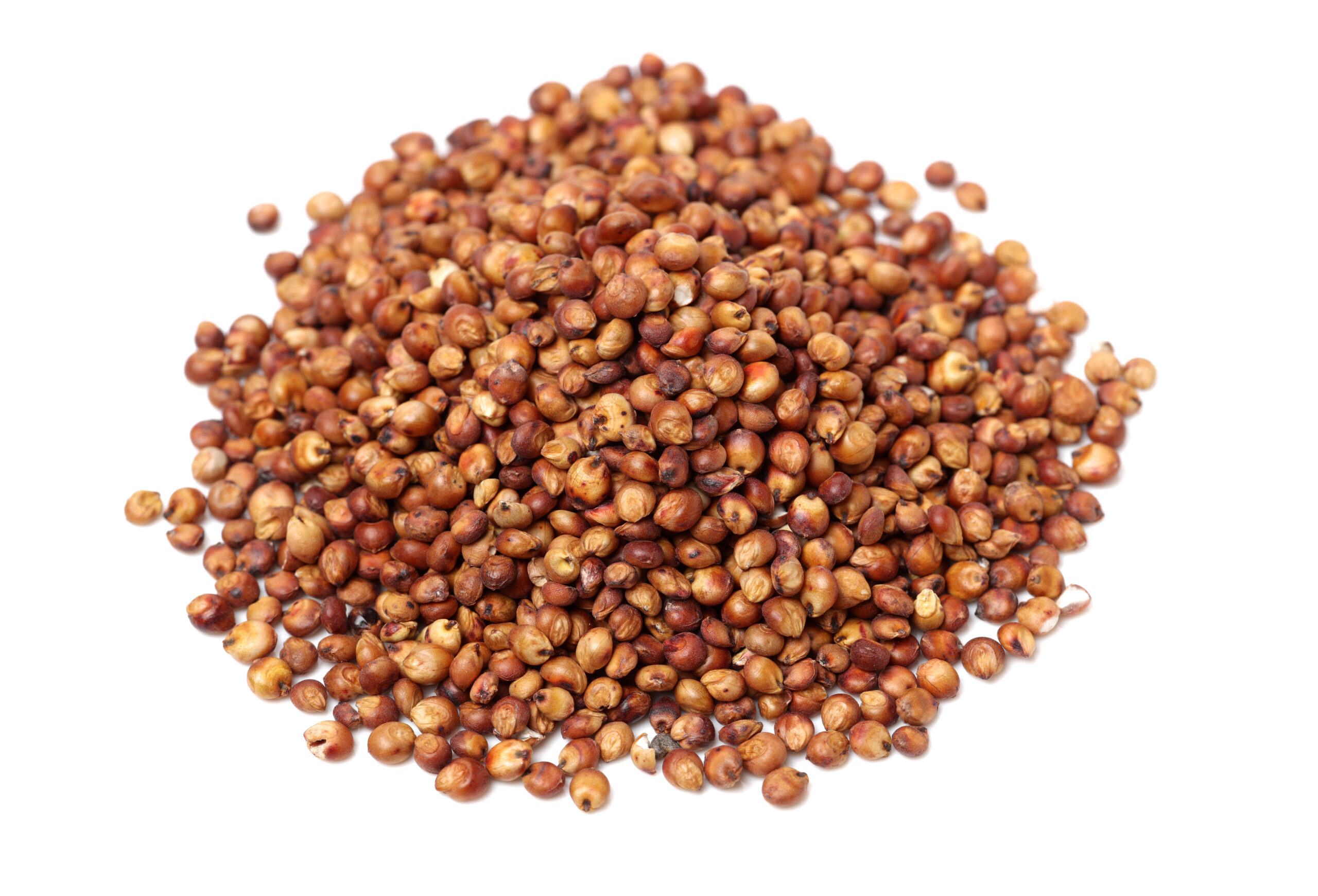 Red sorghum - RGG Grain GmbH